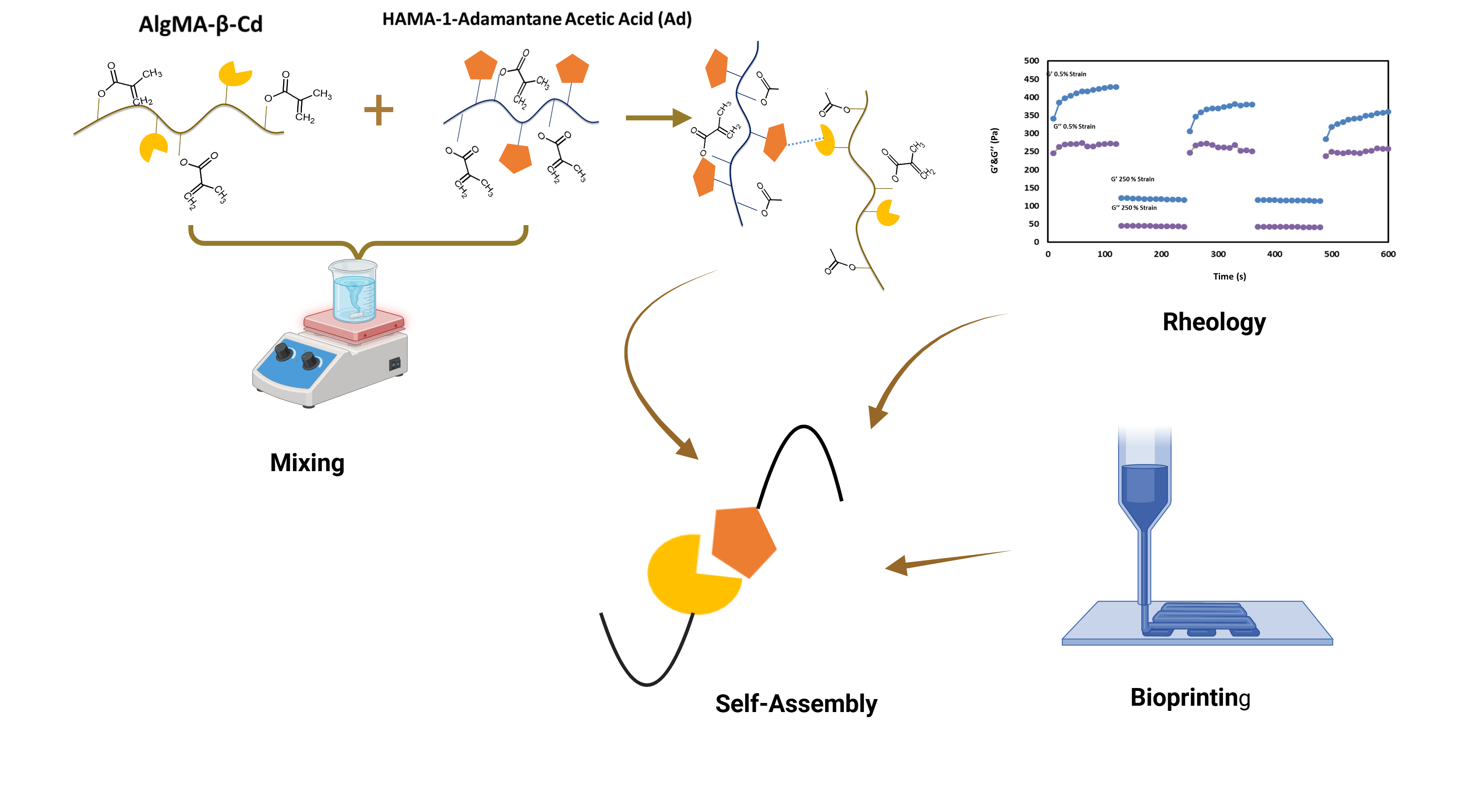 AlgMA/HAMA self-healing bioinks with β-cyclodextrin and Adamantane ...